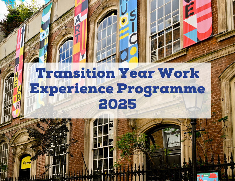 The Ark’s Transition Year Work Experience Programme 2025 | The Ark ...